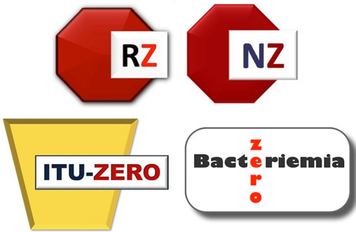 Proyectos Zero | Profesionales